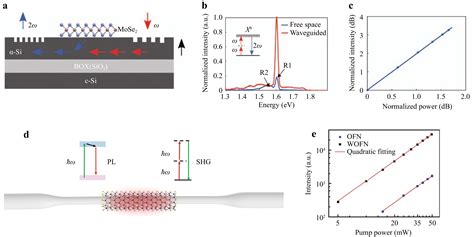 Hybrid Integration Of 2d Materials For On Chip Nonlinear Photonics