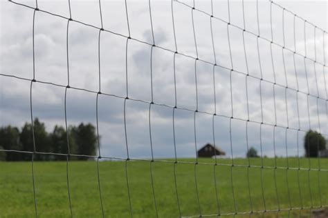 ფართე ბადე Farte Bade