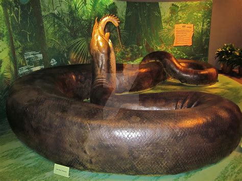 Titanoboa By Amaflesh On Deviantart