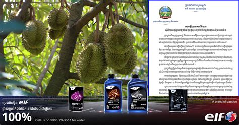 ក្រសួងកសិកម្ម ប្រកាសពីការអនុញ្ញាតឱ្យនាំចេញផ្លែទុរេនស្រស់ពីកម្ពុជាទៅកាន់ប្រទេសចិន Khmernote