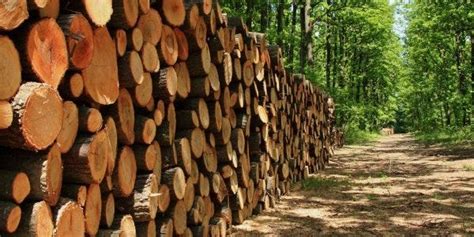 Asynchronous Serverclient With Python 0x02 Logging By David Mentgen Testingonprod Medium