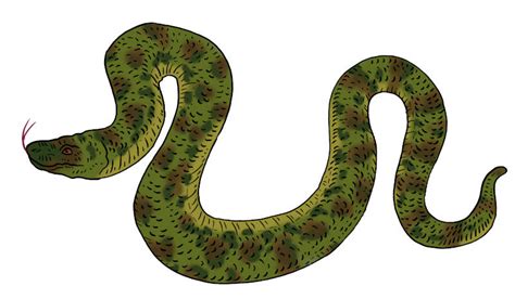 Scar Island Python Preview 1 New Ideas By Matt Weaver Wiki Fandom