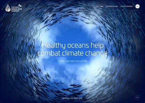 The Convex Seascape Survey Website Examples For Your Inspiration Landinglove