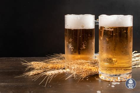 How To Read Beer Expiration Dates All You Need To Know