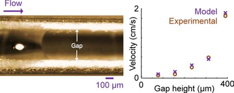 Multilayered Microfluidic Paper Based Devices Characterization Modeling And Perspectives