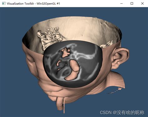 vtk学习笔记（二十）vtk组织透镜 vtkflyingedges3d csdn博客