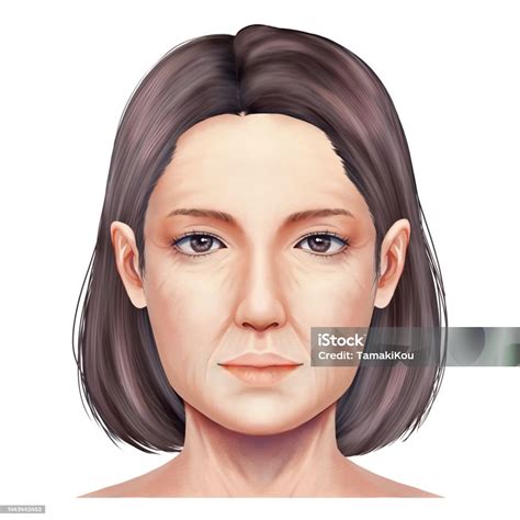 현실적인 중년 여성 현실적인 중년 여성 정면 얼굴 그림 래스터 재질 자연 전면 얼굴 그림 래스터 재질 여성에 대한 스톡 벡터