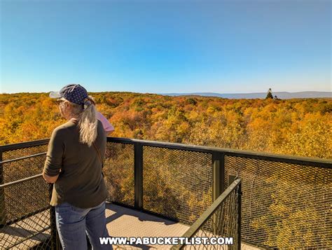Exploring Mount Davis The Highest Point In Pennsylvania