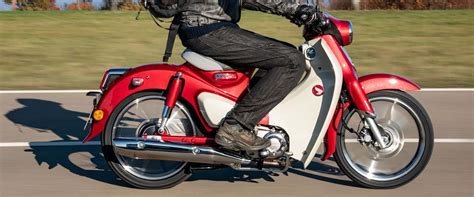 X Cub For Sale At Charlott Leff Blog