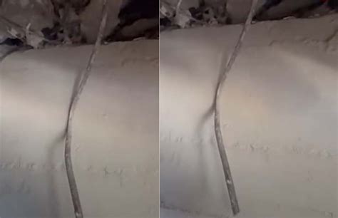 شاهد شاب سوري عالق تحت الأنقاض لأكثر من 70 ساعة في تركيا يفاجئ رجال