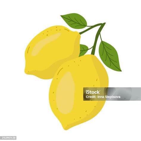 레몬 나무 나뭇 가지 와 노랗고 신선한 감귤류 과일 와 녹색 잎 벡터 Illustration 레몬에 대한 스톡 벡터 아트 및 기타 이미지 Istock