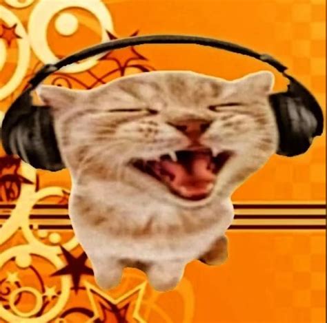 Frutiger Aero Cat W Headphones Jamming Out Silly Cats Pictures Cat
