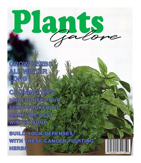 Layout Design On Behance