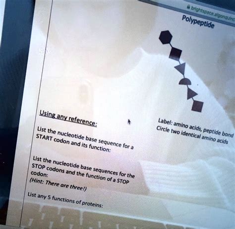 Solved Using Any Reference List The Start Nucleotide Codon Base And