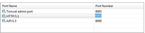 java liferay installed but localhost 8080 return no data received