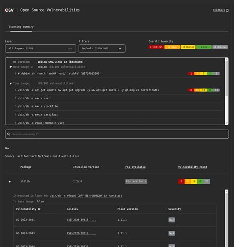 Output Osv Scanner