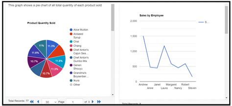How Dotnet Report Builder Helps Business Analysts Ad Hoc Reporting Net Report Builder