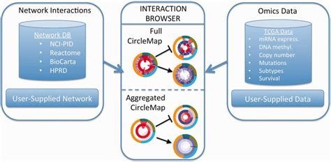 Overview Of The Ucsc Ib Workflow Users Select Or Supply I A Network Download Scientific