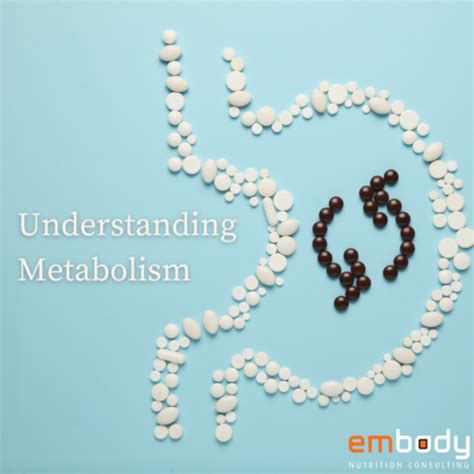 Understanding Metabolism Embody Nutrition Consulting