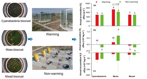 宁夏沙坡头沙漠生态系统国家野外科学观测研究站