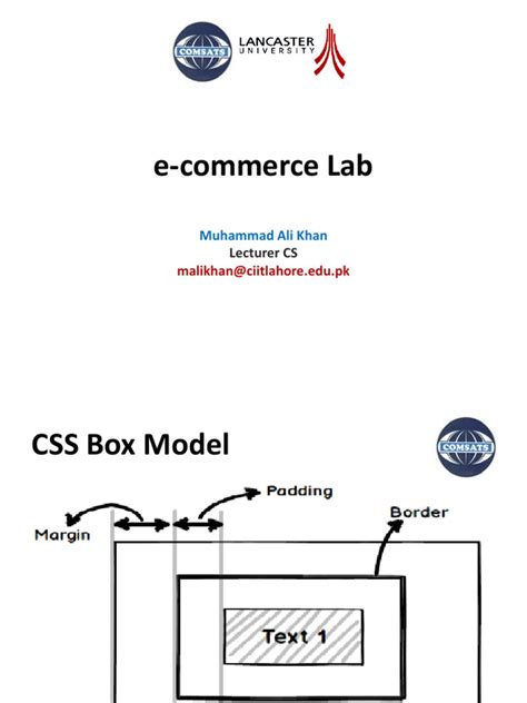 E Commerce Lab Muhammad Ali Khan Pdf Websites Web Server