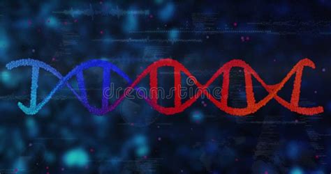 dna strand and binary coding scientific data processing image stock