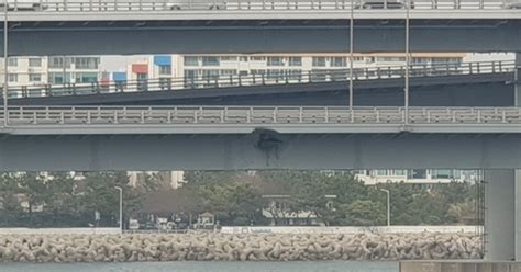 러시아 화물선 출항 중 부산 광안대교 충돌