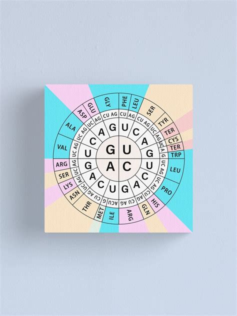 Codon Chart Genetic Code Canvas Print For Sale By Mayumiart Redbubble