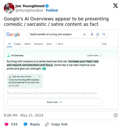Screenshots Proving That Google AI Overview Is A Fail DeMilked