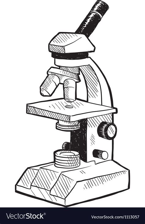 Doodle Microscope Royalty Free Vector Image Vectorstock