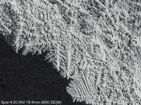 Dendritic Microstructure Sem Microphotography Slag From The Electric