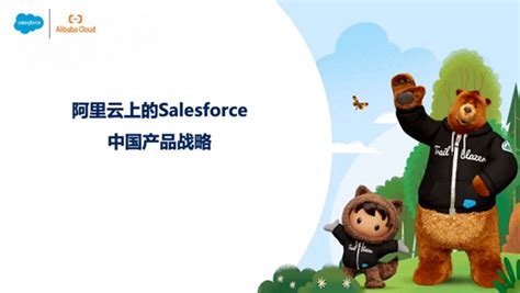 Salesforce 蓝点网