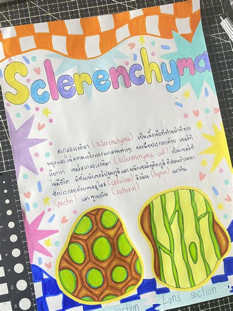 ใบงานวิทยาศาสตร์ ป5 พร้อมเฉลนย การค้นหาใน Lemon8