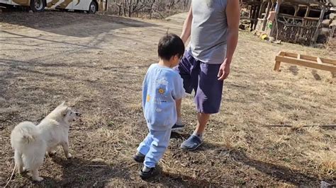 집에서 병아리 부화해요이름은 아리부화기병아리 Youtube