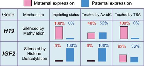 Genomic Imprinting Methylation