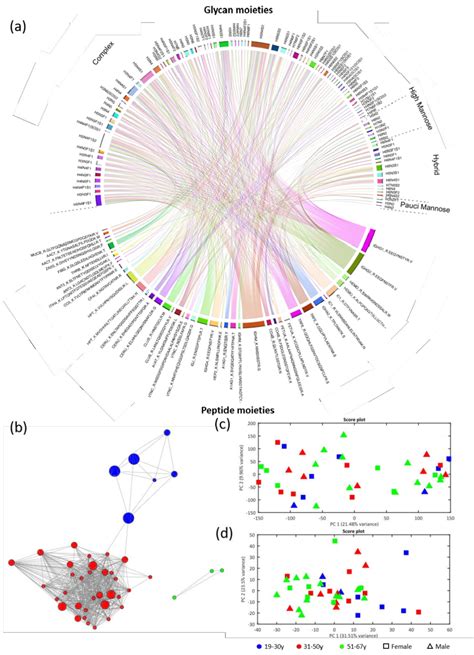 Observed Glycoproteome In Healthy Subjects A Chord Diagram That