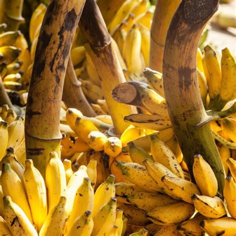 Observation Skills Test Can You Find The Number 280 In Only 10 Seconds Only 15 Succeeded