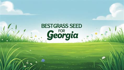 Best Grass Seed For Georgia Grass Cure