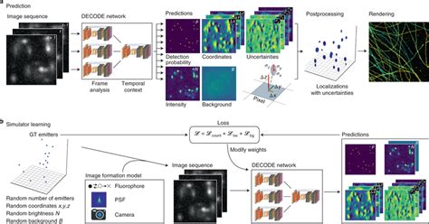 Decode For High Density Single Molecule Localization A Decode Download Scientific Diagram