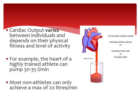 Unit Physiology And Health Structure Of The Heart Ppt Download