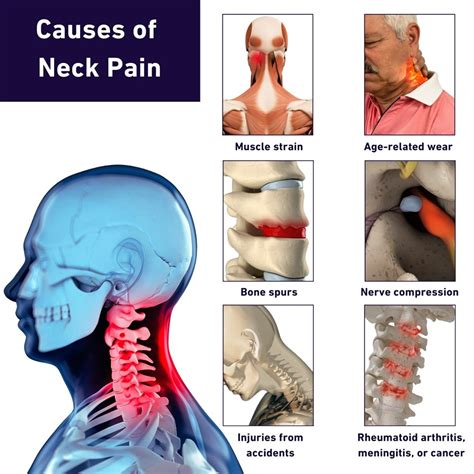 Neck
