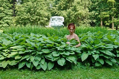 Naked In The Grass Pics XHamster