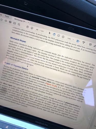 lecture 13 flashcards quizlet