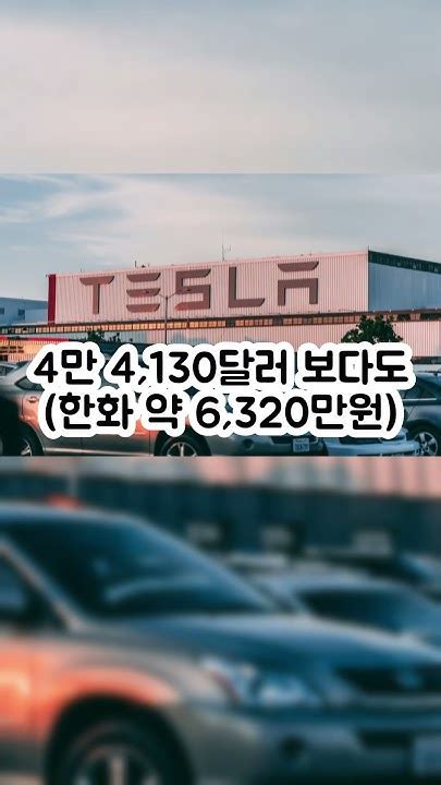 테슬라 저가형 모델 출시 자동차 전기차 이슈 Youtube