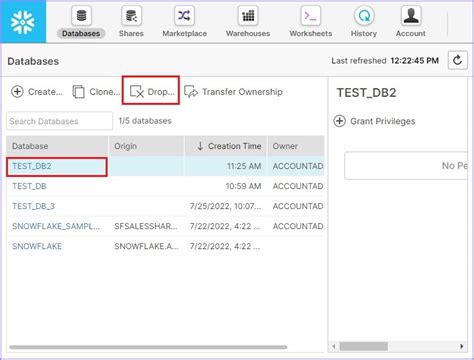 Snowflake Database