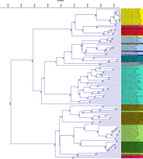 Cluster Analysis Of Fa Compositional Data A Data Cut Off Of 01 Was