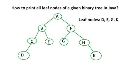 How To Print All Leaf Nodes Of Binary Tree In Java Binary Tree