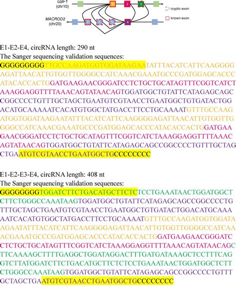 Figures And Data In Circfl Seq Reveals Full Length Circular Rnas With