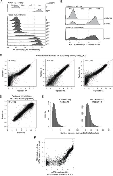 Fig S1 Deep Mutational Scanning Experimental Details A Download Scientific Diagram