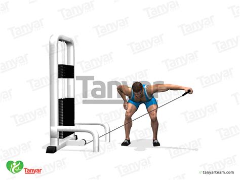 نشر خم تک دست سیم کش تن یار تیم